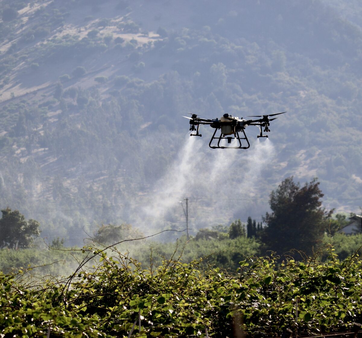 dronesvillarrica – Riego